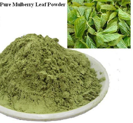 Food Grade 500mesh Mulberry Leaf Powder Pure Natural