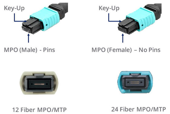 Customized 12/24 OM3 MPO/MTP jumper Low loss standard loss MPO fiber patch cord