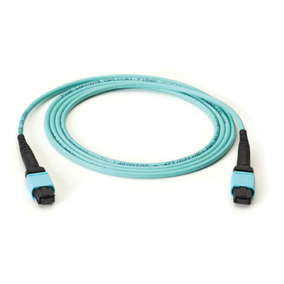 Customized 12/24 OM3 MPO/MTP jumper Low loss standard loss MPO fiber patch cord