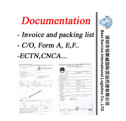 Shenzhen Best Service (BSW) International Logistics Co., Ltd.