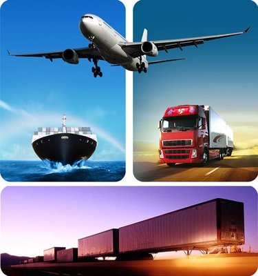 Shipping Agent For Danmark, Germany, France, French Polynesta, Monaco -China Forwarder