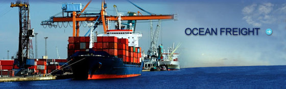 Shipping Agent For Danmark, Germany, France, French Polynesta, Monaco -China Forwarder