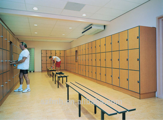 6 Door Compact Laminate Locker with Bench for GYM for Sauna Center