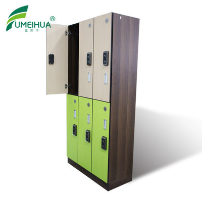 Customized size and design compact laminate materila 450 Depth assembled electronic personal storage locker