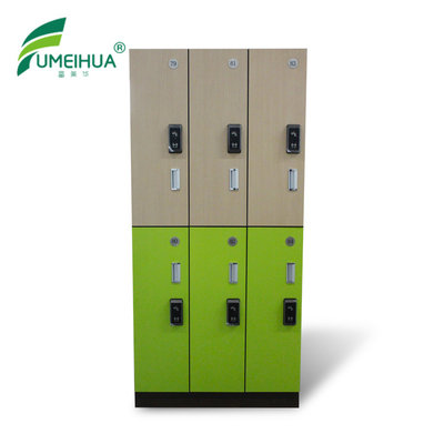 Customized size and design compact laminate materila 450 Depth assembled electronic personal storage locker