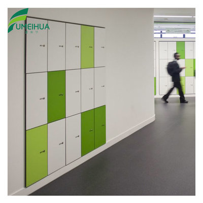 color mixed anti bacterial school student locker 2 tier locker