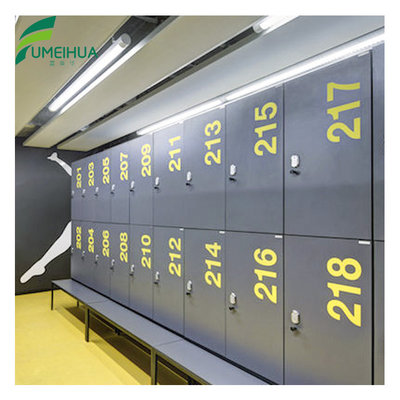 color mixed anti bacterial school student locker 2 tier locker