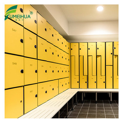 phenolic compact laminate beach locker cabinet/ coin operated locker and school lockers for sale