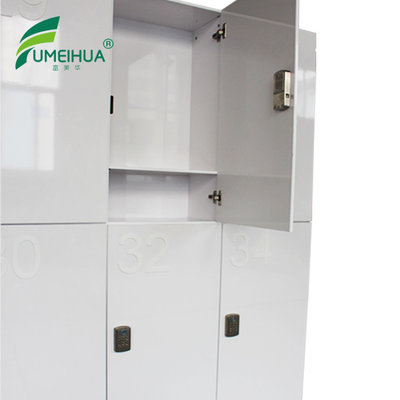 Compact Laminate Locker/ Compartment Steel Locker/ Cube Locker