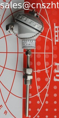 Integrated temperature transmitter SBW-02