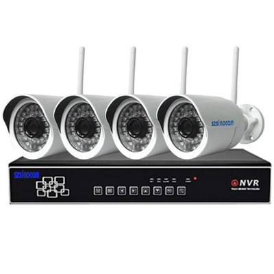 Garden DVR Security System / Home Video Surveillance Motion Detection
