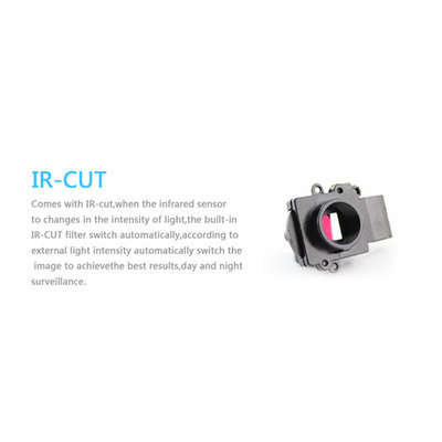 720P 1.3 Mp WIFI Camera H.264 Network Surveillance Dustproof