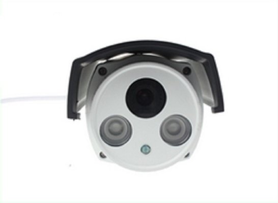 1.0 Megapixel ONVIF Outdoor Wireless IP Camera For Home , 360 Degree Analog