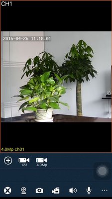 WIFI / 32G SD Card Slot Wireless Ip Security Camera , Video Surveillance System Cctv Ip Camera