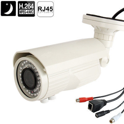 3.0 Megapixel 1080P HD CCTV Waterproof POE IP Cameras With two way audio 3.6mm - 12mm
