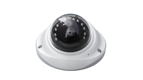 1.3 MP Vandal Proof Dome Camera