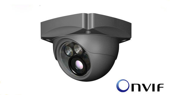 1.3 Megapixel Low Lux IP Camera 2 Pcs Array Led  Dome Camera