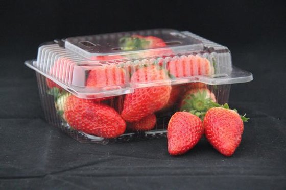 China Plastic Folding Box for Fruits supplier