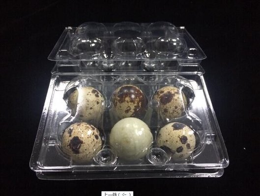 China hot sells egg trays clear quail egg trays with 6 holes 2*3 holes PVC / PET / APET... quail egg container supplier