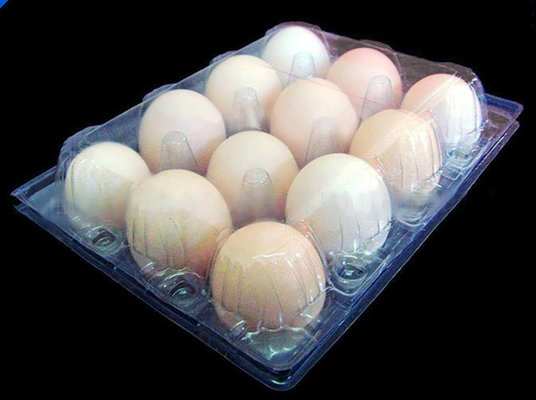 egg trays 6 holes 2*3 holes PVC / PET / APET... quail egg container  blister products supplier