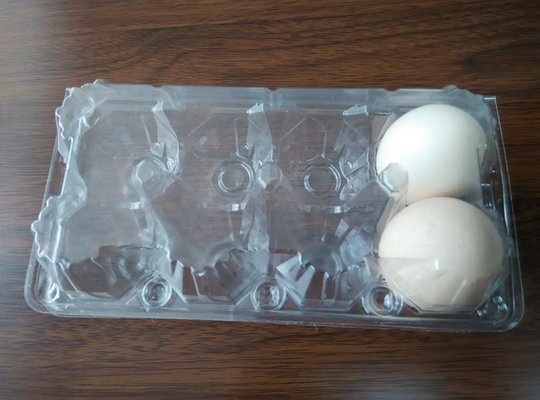 egg trays 6 holes 2*3 holes PVC / PET / APET... quail egg container  blister products supplier