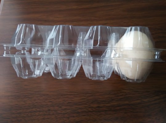 egg trays clear quail egg trays with 6 holes 2*3 holes PVC / PET / APET... quail egg container supplier