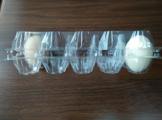 egg trays 6 holes 2*3 holes PVC / PET / APET... quail egg container  blister products supplier