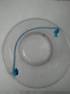 Transparent cylinder type blister packaging supplier