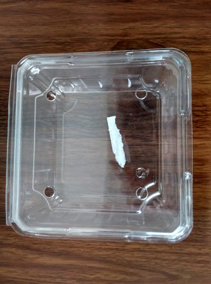 Plastic Folding Box for apple supplier