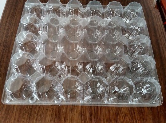 clamshell kiwi packing  folding boxes supplier