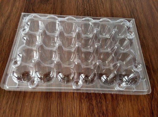 clamshell kiwi packing  folding boxes supplier
