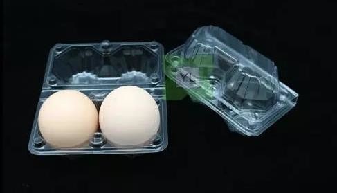 egg trays clear quail egg trays with 6 holes 2*3 holes PVC / PET / APET... quail egg container supplier