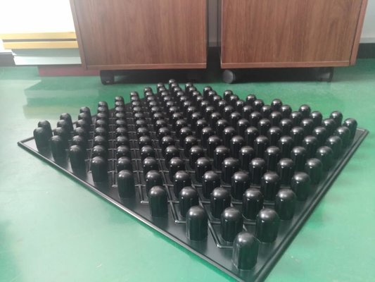 blister trays for seeding PS supplier