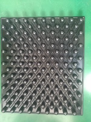 blister trays for seeding PS supplier