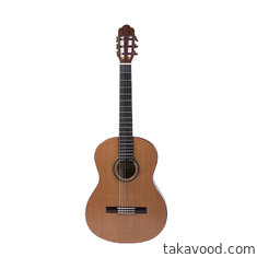China Takavood Classic Guitar 39 inch Acoustic Guitar Master Series Guitar Solid Wood Guitars supplier