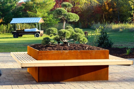 Corten steel extra large planters for live trees with great price
