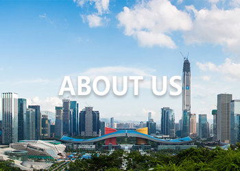Shenzhen Tenveo Video Technology Co., Ltd Company Profile