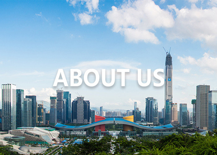 China Shenzhen Tenveo Video Technology Co., Ltd 