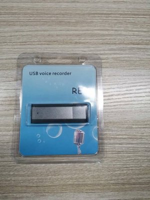 Mini USB Digital Voice Recorder HD Recording Audio Sound Activated Recorder