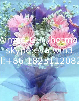 BOPP Film for flower packing