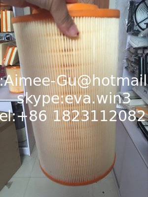 high quality auto parts German car VW Original equipment auto air filter OEM:C17201/3 factory supplier from qinghe china
