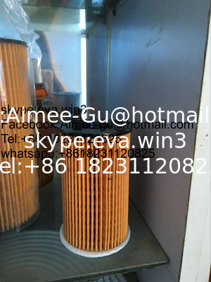 competitive price SKODA,WINNEBAGO,PEUGEOT ,SUZUKI ,Holden cars auto filter OEM EL3413,EL3456,ELP3734 from China supplier