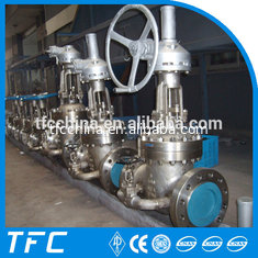 24 inch 300lb A351 Gr. CF8M stainless steel gate valve