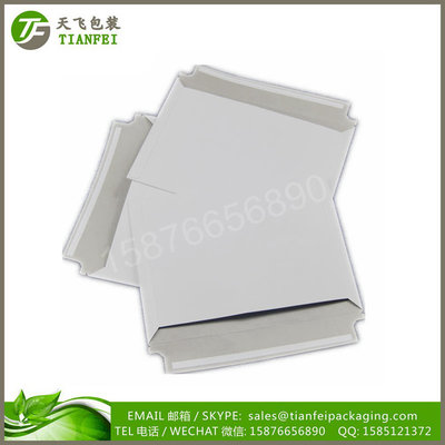 (FREE DESIGN) 330x240mm Express cardboard envelope with plastic pouch