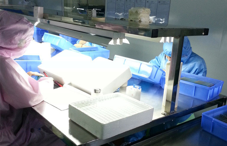 ShenZhen New Display Co.,LTD manufacturer production line