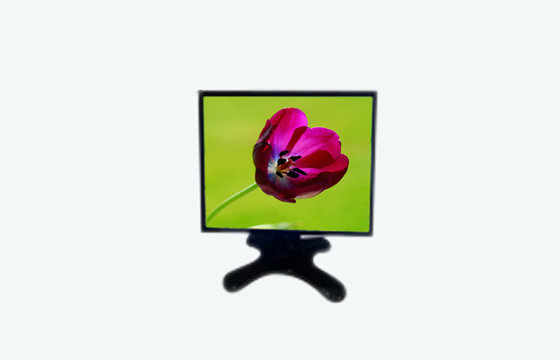 Electrical Equipments AUO High Brightness LCD Panel YX170DK07 , 17" Notebook LCD Panels