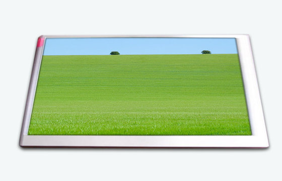 9" RGB Stripe CCFL PVI LCD Panel TFT LCD Display Module PW090XU7