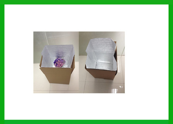 Customized Friut / Vegetables foil cooler bags 8mm Thickness