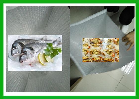 Proteja el trazador de líneas aislado 3D de la caja de la hoja de la burbuja para el empaquetado frío del envío