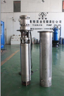 good quality high efficency factory supply sea water submersible pump